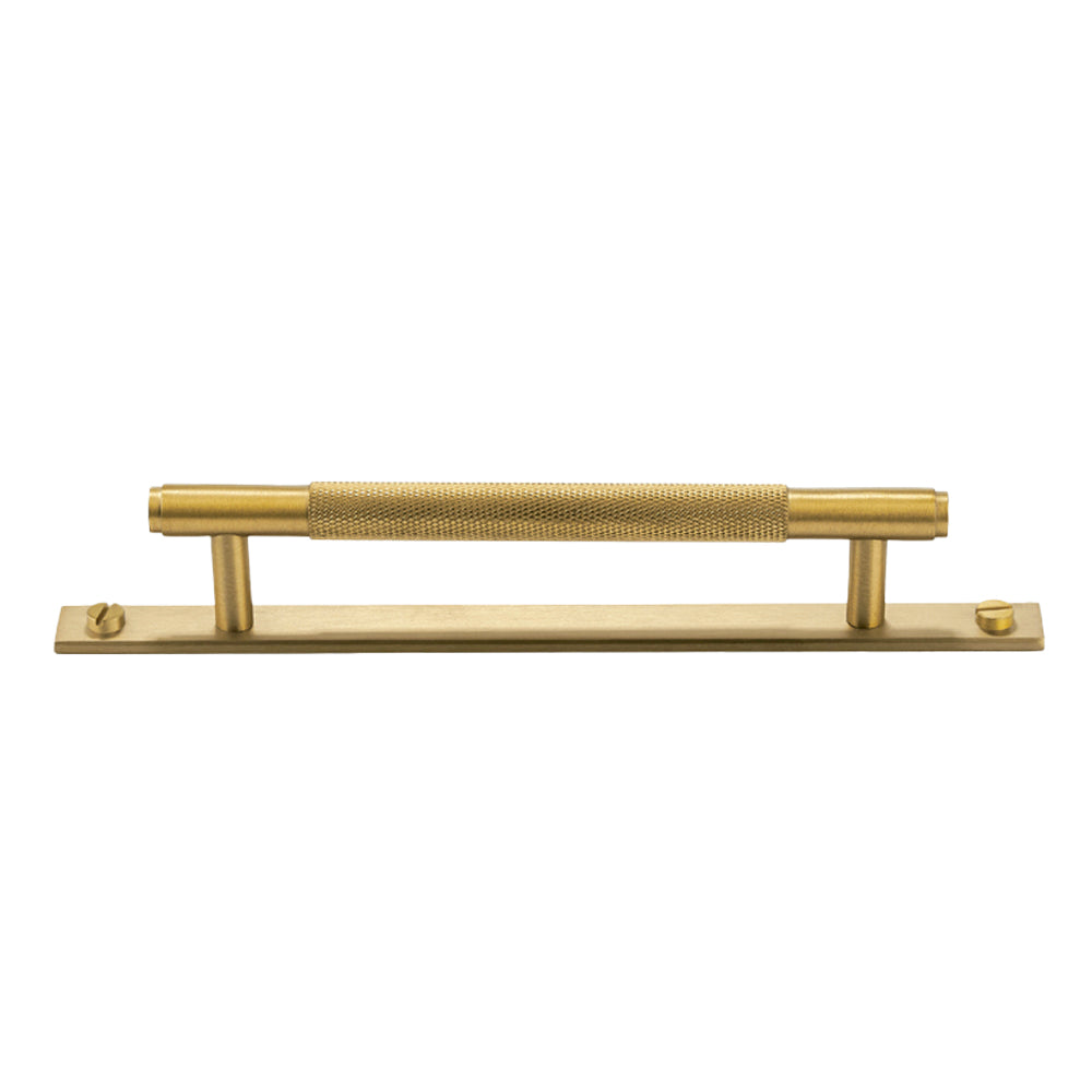 Nuvo Solid Brass Pull Handle with Backplate - Hardware Concepts